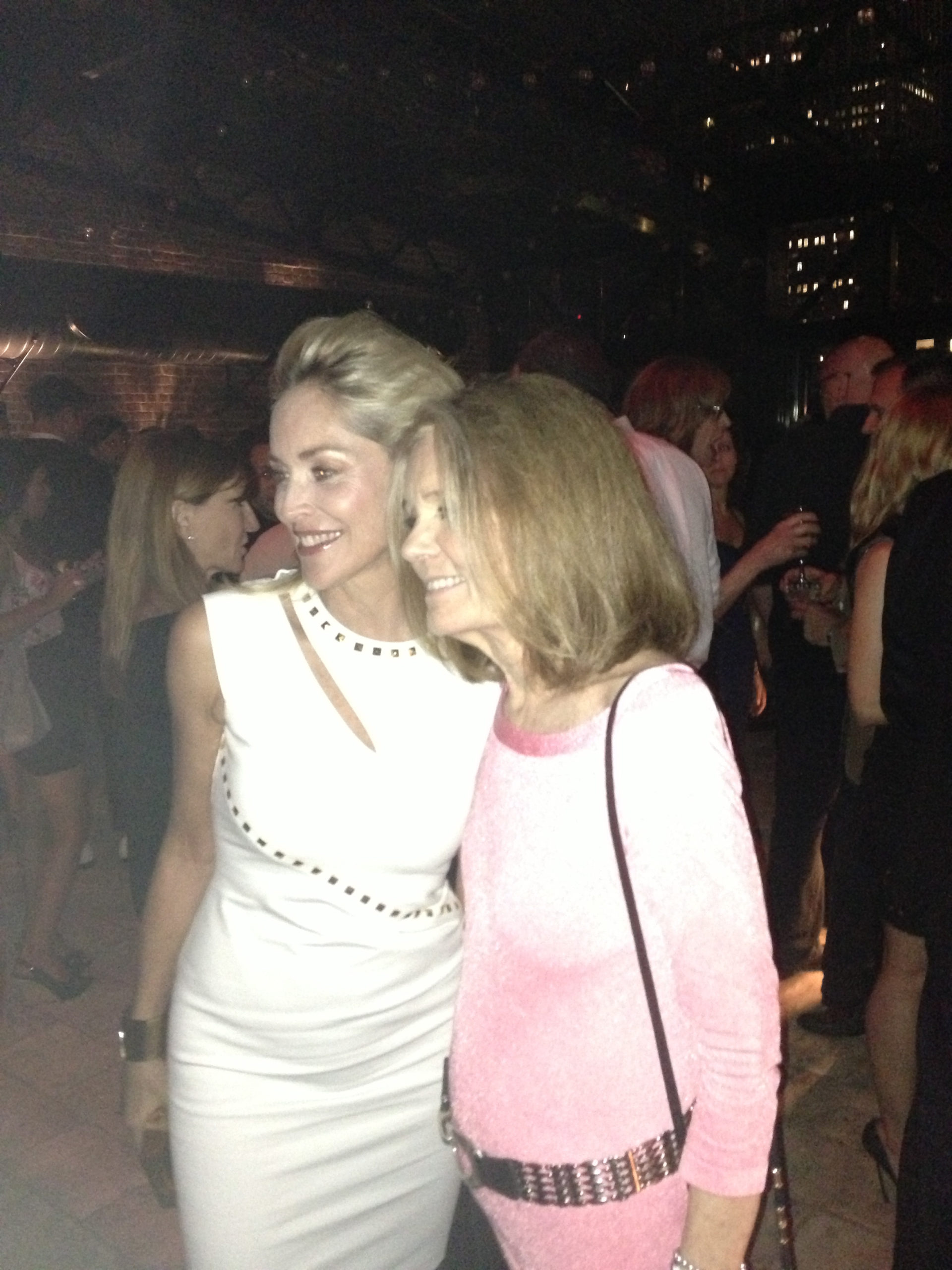 Sharon Stone Memoir Review - Book and Film Globe